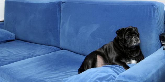 Conoce la casa de Helga Díaz